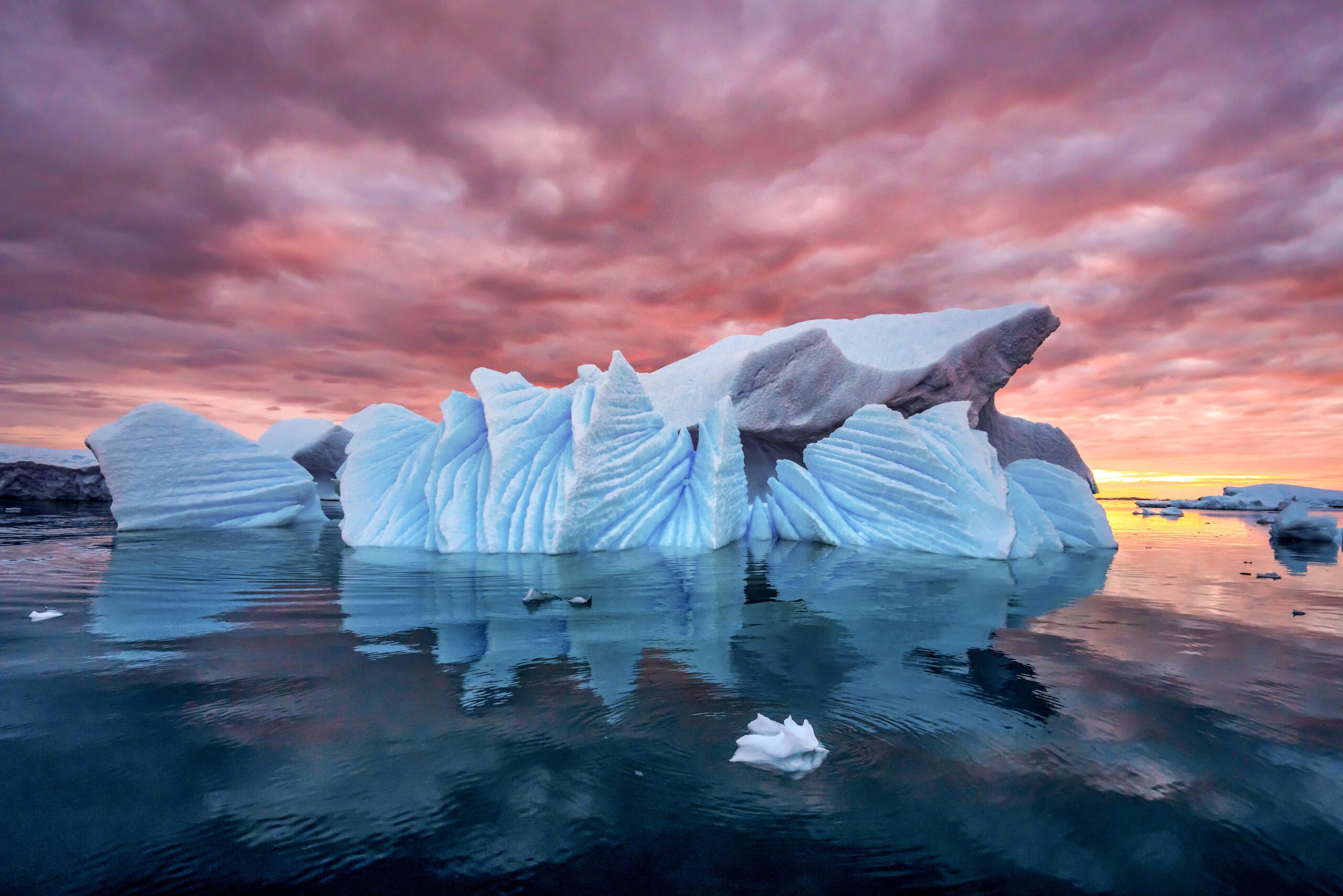 Aspen Daily News "Storytelling through new lenses" | SeaLegacy